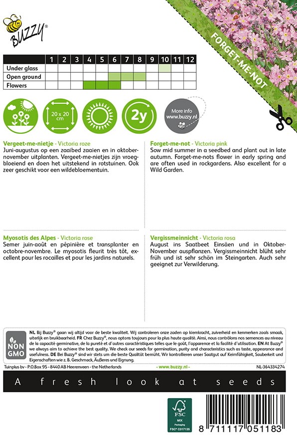 Buy Forget Me Not Victoria Rose Buzzy online at Gardencentre Koeman