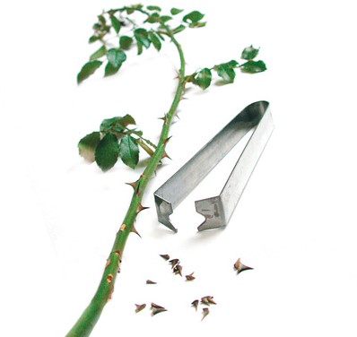 Buy Rose Trimmer online at Gardencentre Koeman