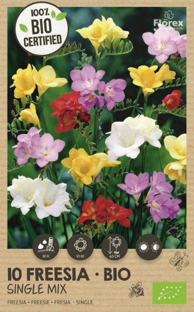 Buy Organic Bulbs Freesia Double Mix online at Gardencentre Koeman
