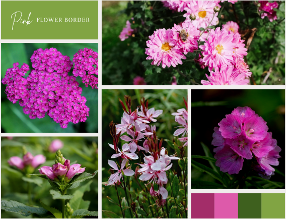 Buy Ready Made Flower Border Pink 12 Plants online at Gardencentre Koeman