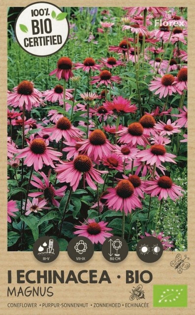 Buy Echinacea Magnus Bio online at Gardencentre Koeman