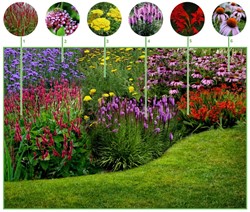 Ready-made border | Buy Ready-made border easily online