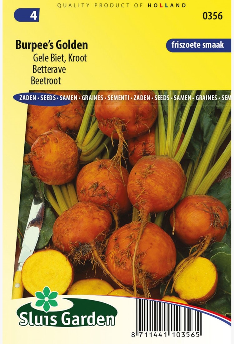 Buy Beetroot Yellow Burpees Golden online at Gardencentre Koeman
