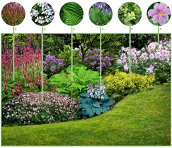 Ready-made border | Buy Ready-made border easily online