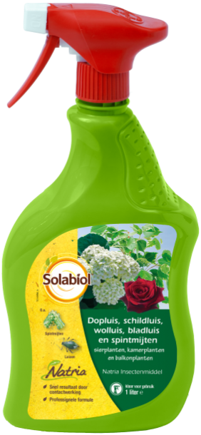 Insecticide spray store