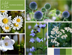 Ready-made border | Buy Ready-made border easily online