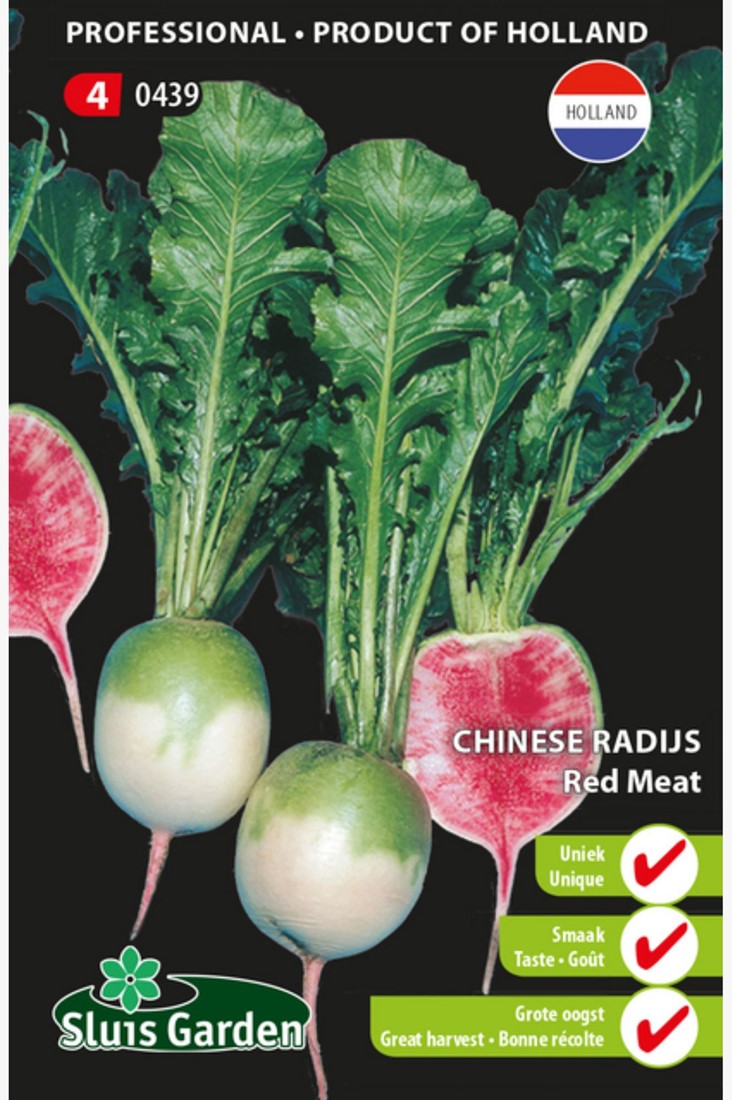 Buy Radish Chinese Red Meat online at Gardencentre Koeman