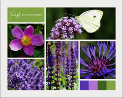 Ready-made border | Buy Ready-made border easily online